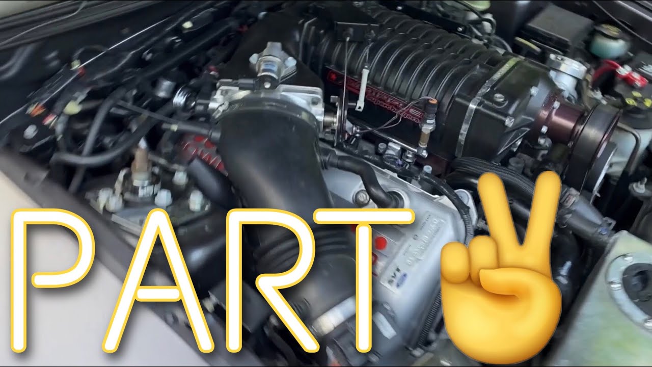 Why I Bought A 03-04 TERMINATOR COBRA | Daily Vlogs | Part 2 - YouTube