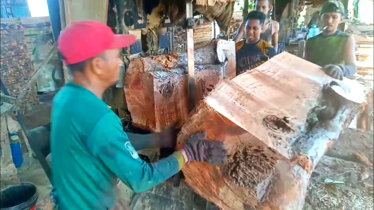 Kayu durian busuk - YouTube