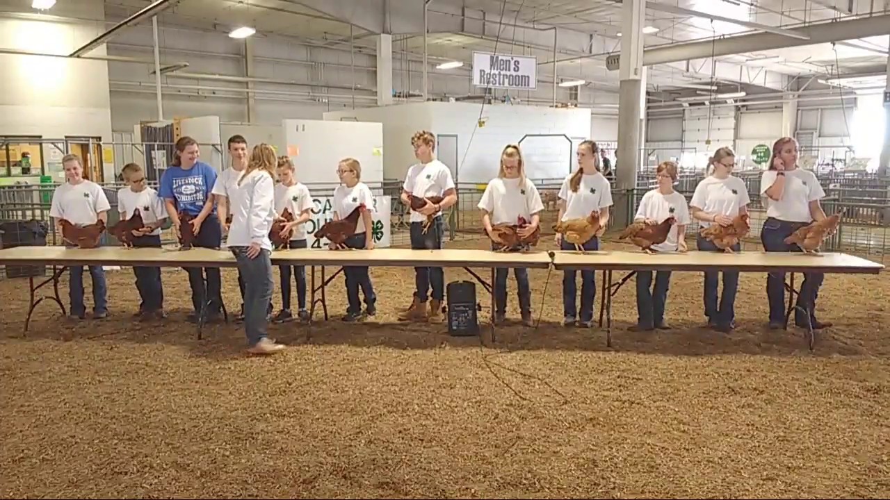 2017 Lancaster County Super Fair - 4-H Poultry Show (beginning of show ...
