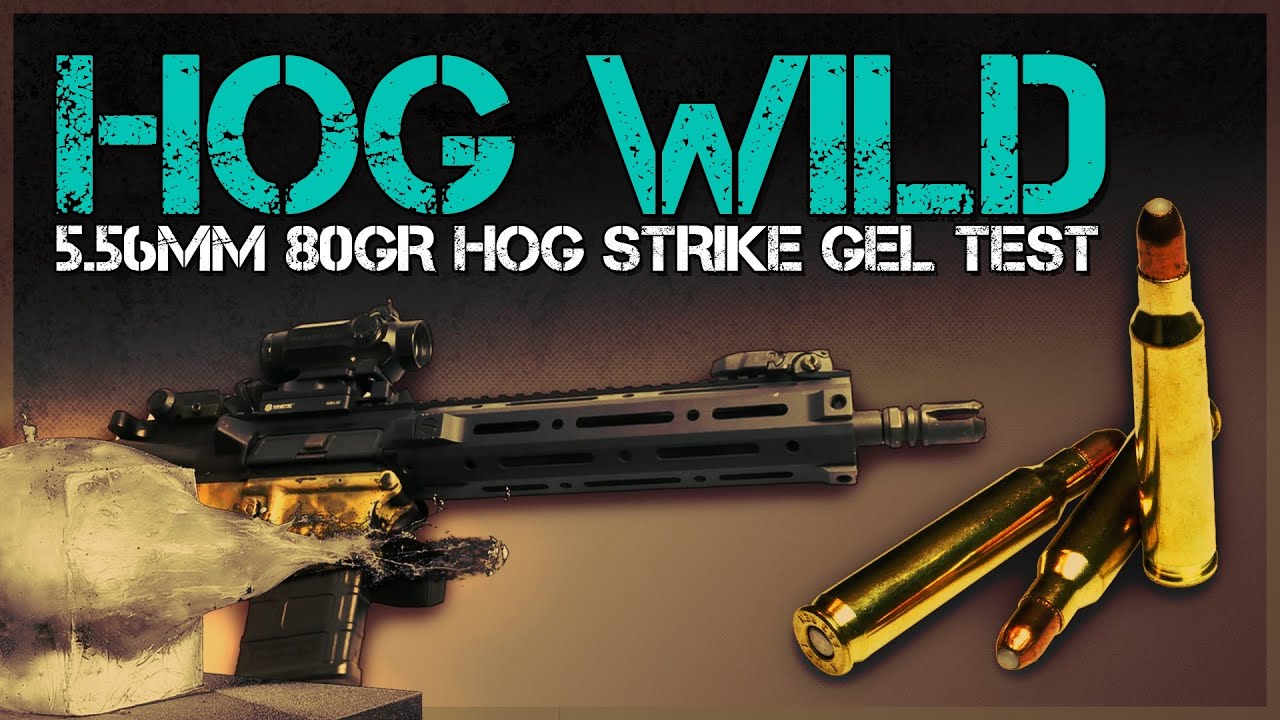 Lipstick On A Pig or Hog Wild? 5.56mm 80gr Hog Strike Gel Test - YouTube