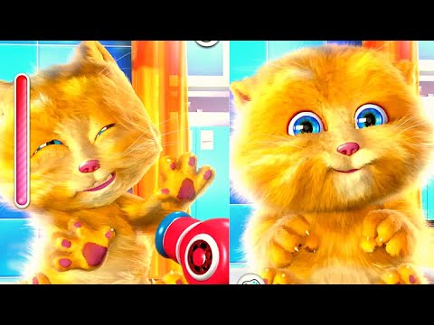 cat toys/talking ginger/ YELLOW CAT/ baby laughing video - YouTube