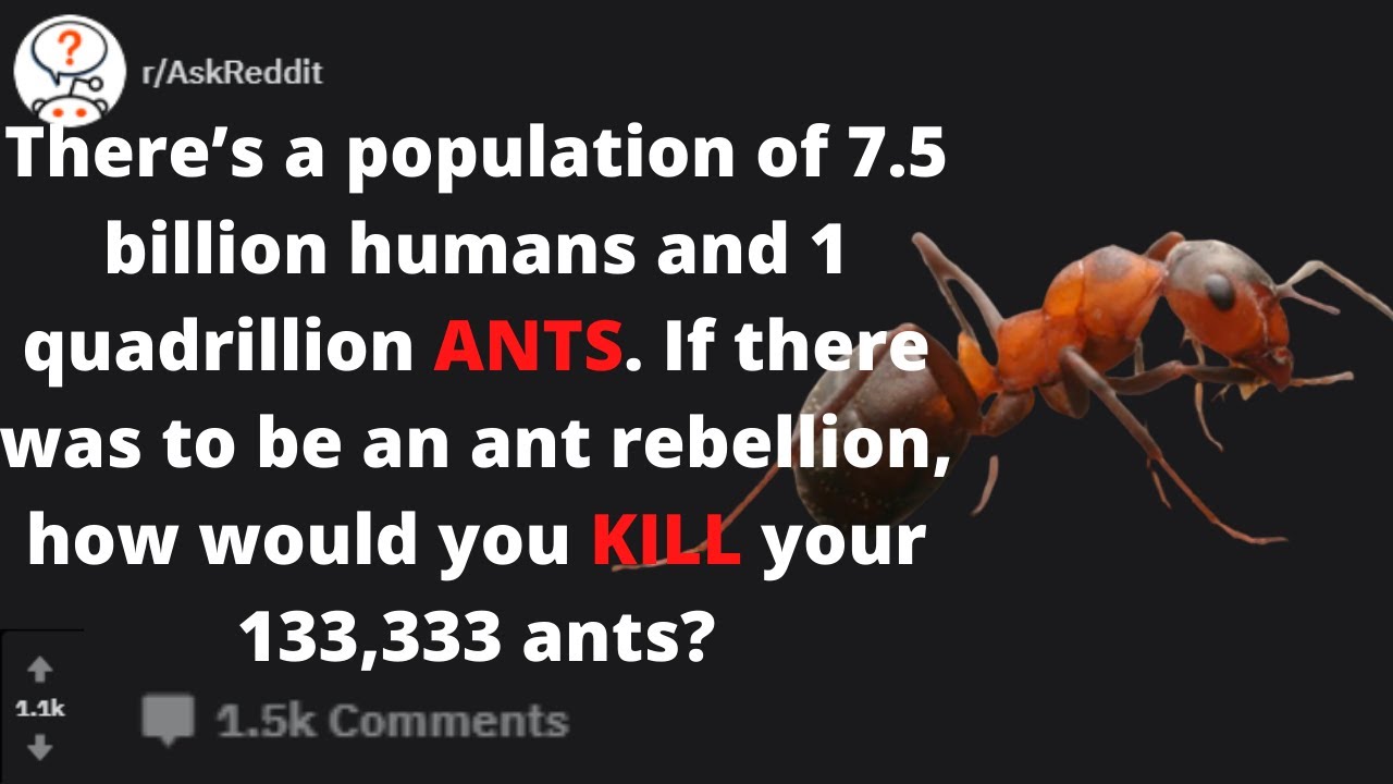If there was to be an ant rebellion, how would you kill your 133,333 ...