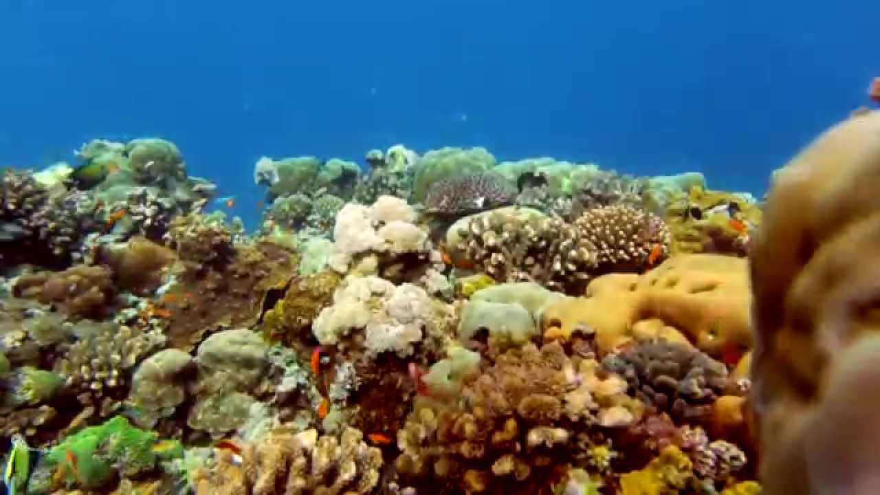 The Manta Resort - YouTube