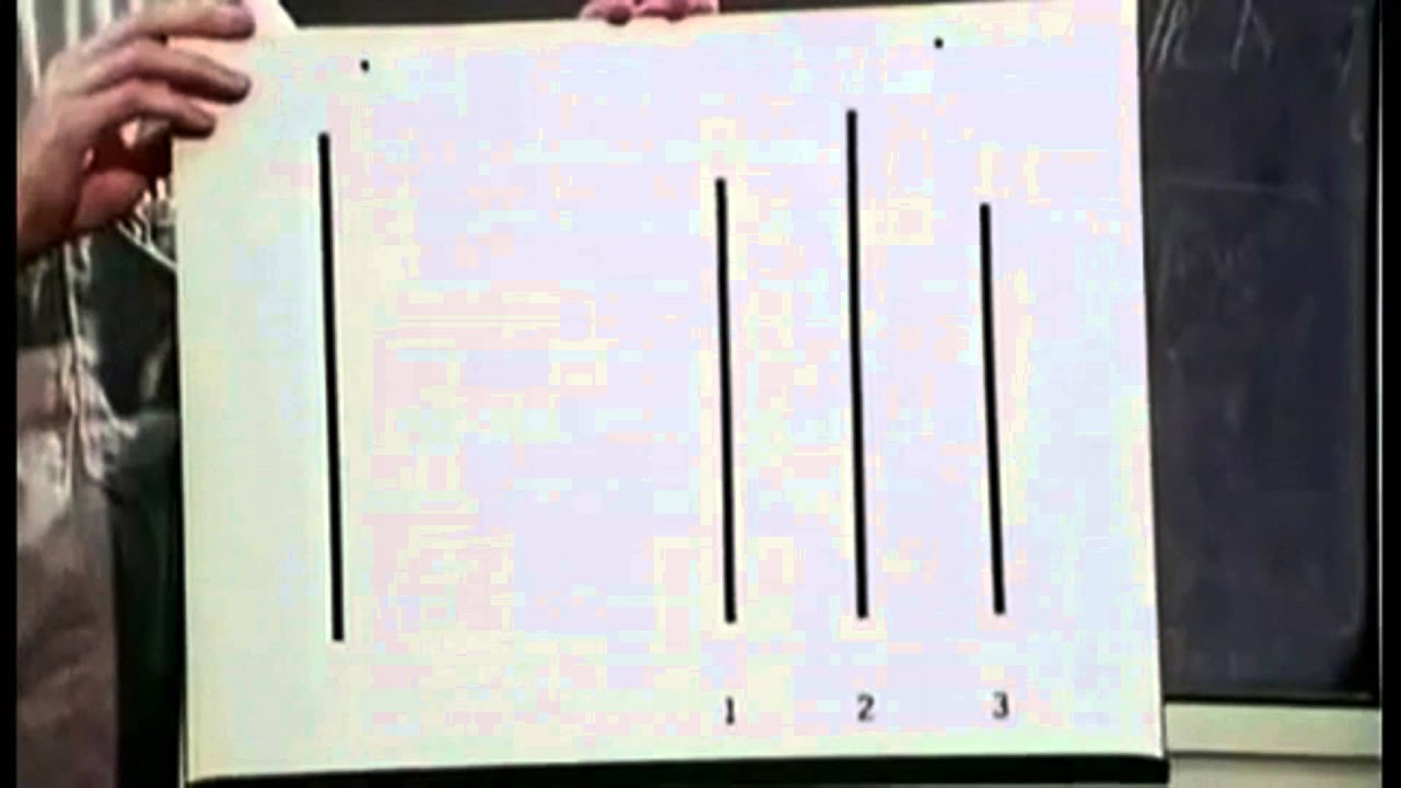 The Asch experiment (EngSub) - YouTube