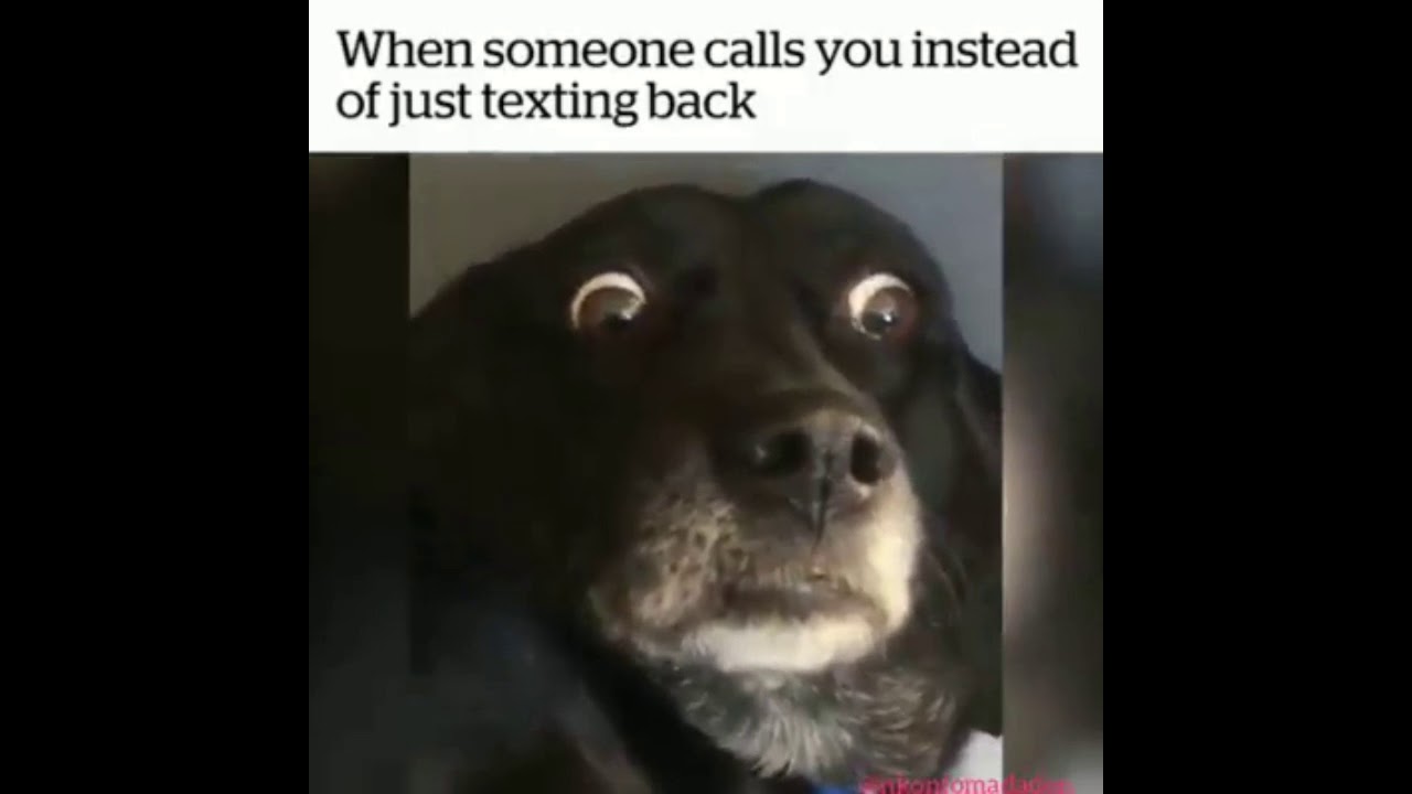 Funny Video When someone calls instead of texting back - YouTube