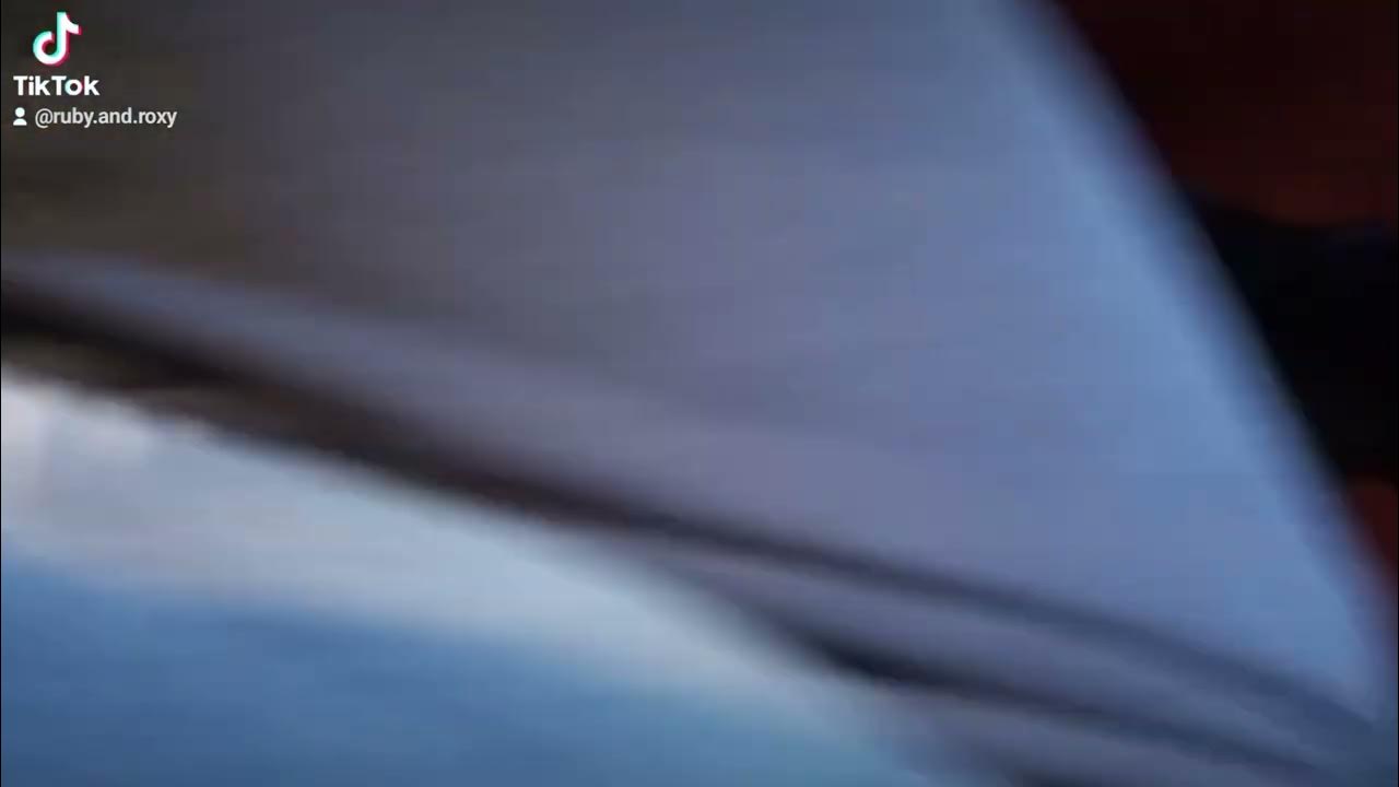 ruby and roxy - YouTube