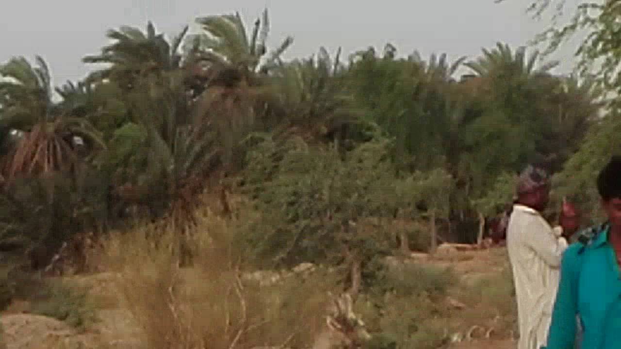 Garden Of 5tan PAK SARKAR YouTube garden-of-5tan-pak-sarkar-youtube