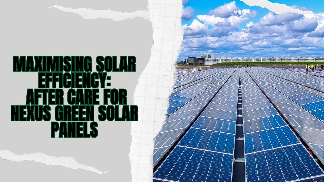 Maximising Solar Efficiency: After Care for Nexus Green Solar Panels ...