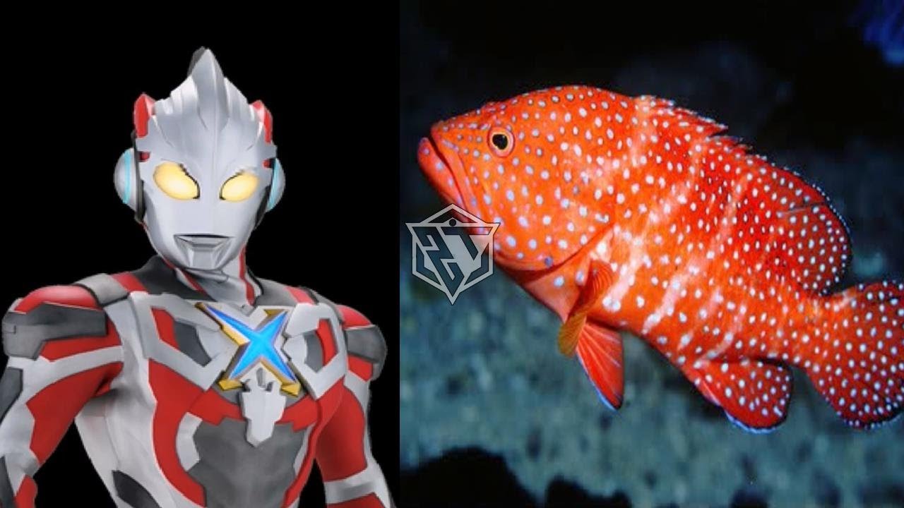 Ultraman Lucu Nyanyi Nama Nama Ikan - YouTube
