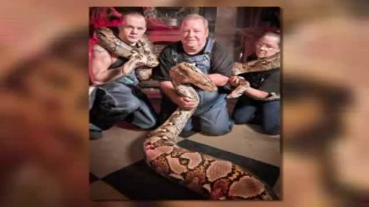Longest snake in captivity 'Medusa' dies - YouTube