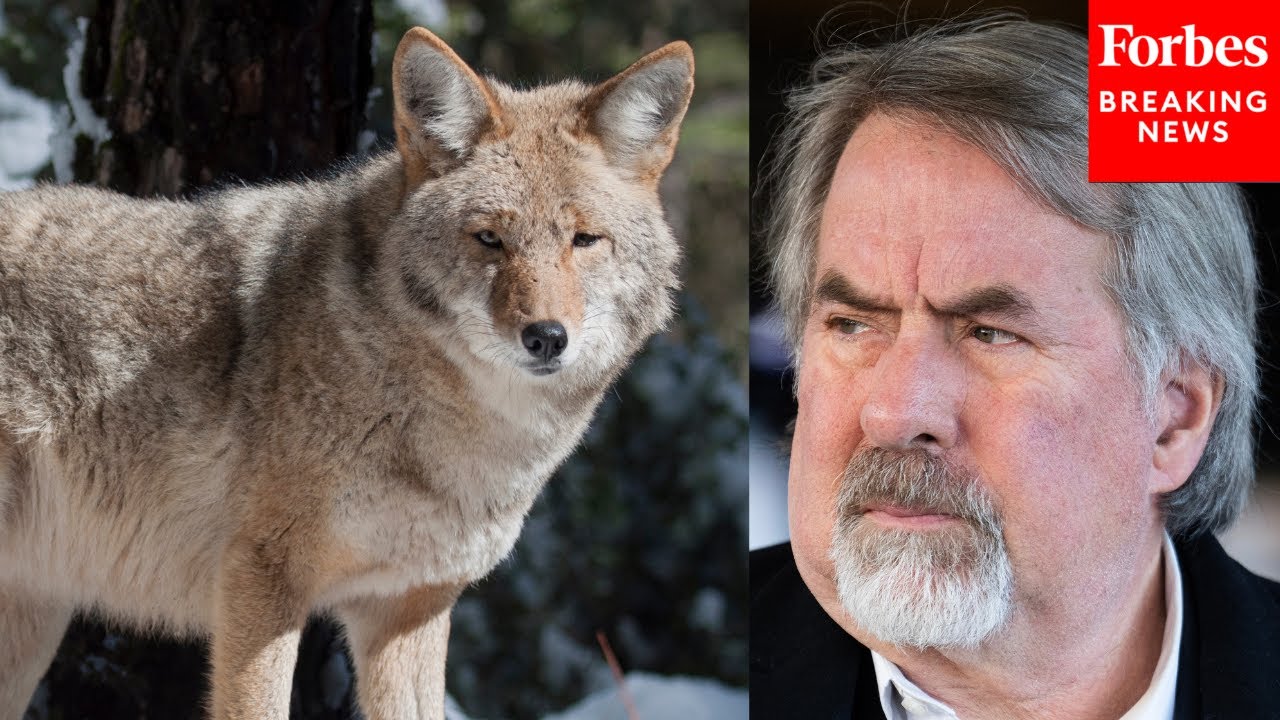 'This Isn't Some Little Red Riding Hood Story': Doug Lamalfa Decries ...