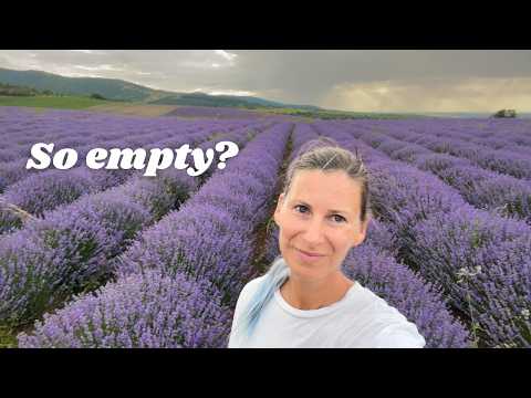 40, single, and living in a dying Bulgarian village: Is there a social life?