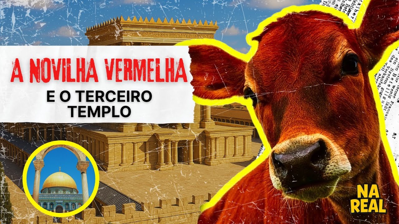A NOVILHA VERMELHA E O TERCEIRO TEMPLO: O CÓDIGO PROFÉTICO DO FIM DOS ...