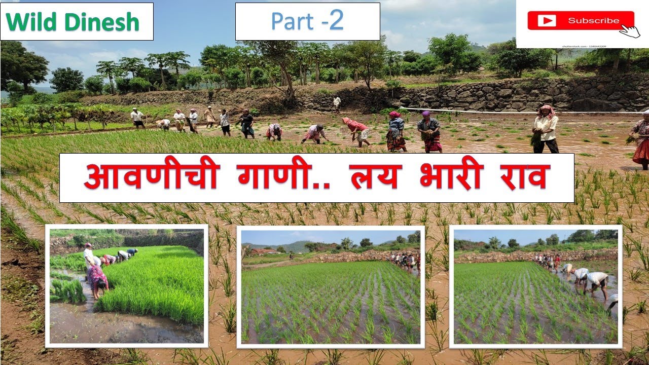 Koli Mahadev Tribe Popular Song In Pune, Maharashtra, India/Tribe Music ...