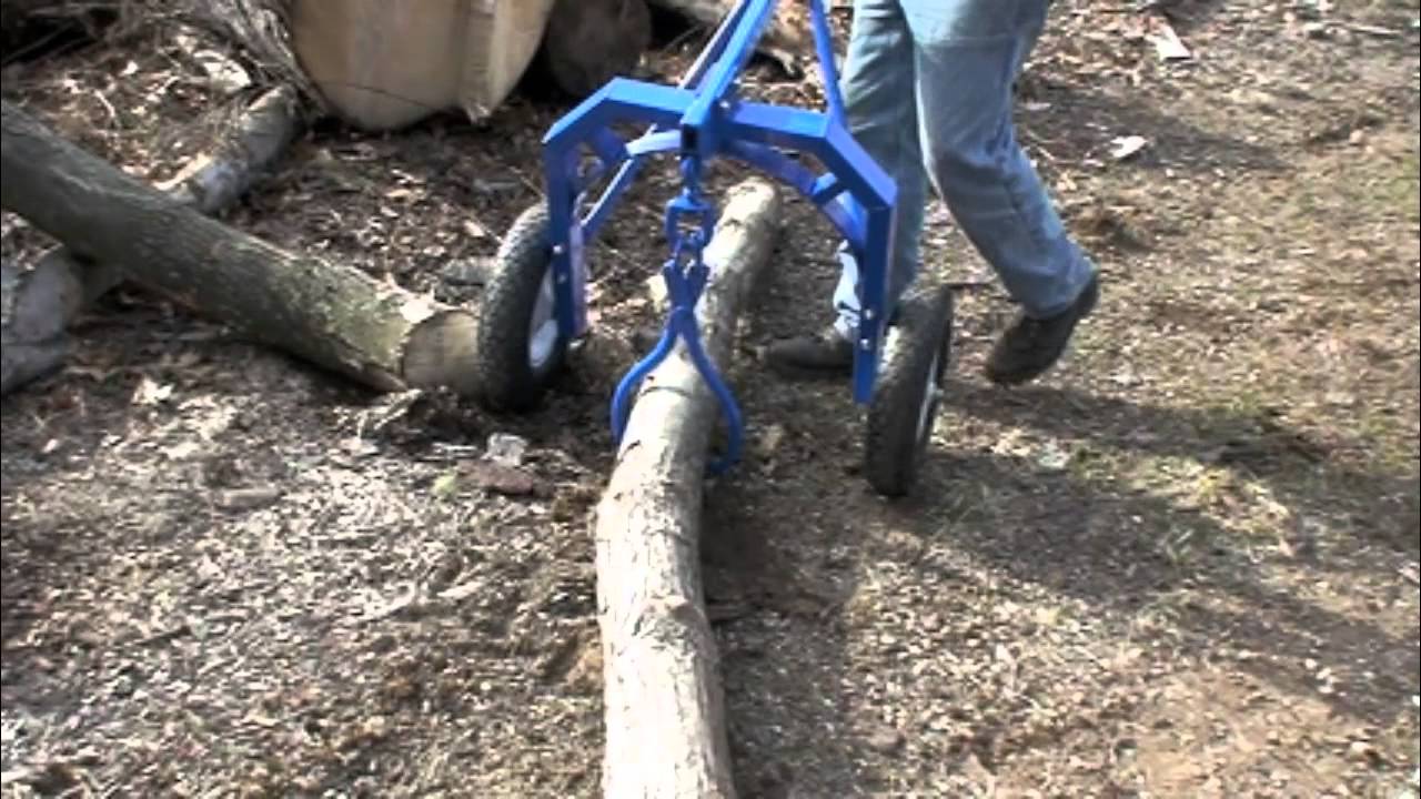 Junior Arch Comparison - YouTube