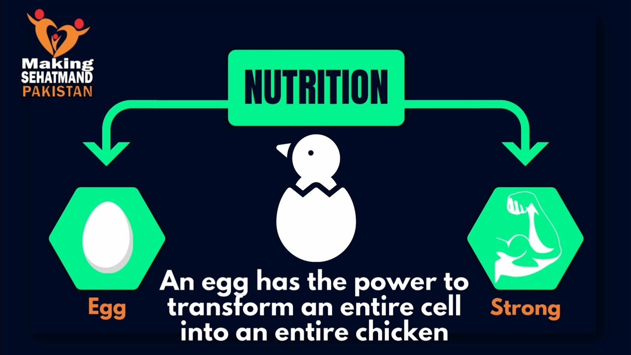 "From Cell to Chick: The Transformative Power of an Egg" - YouTube