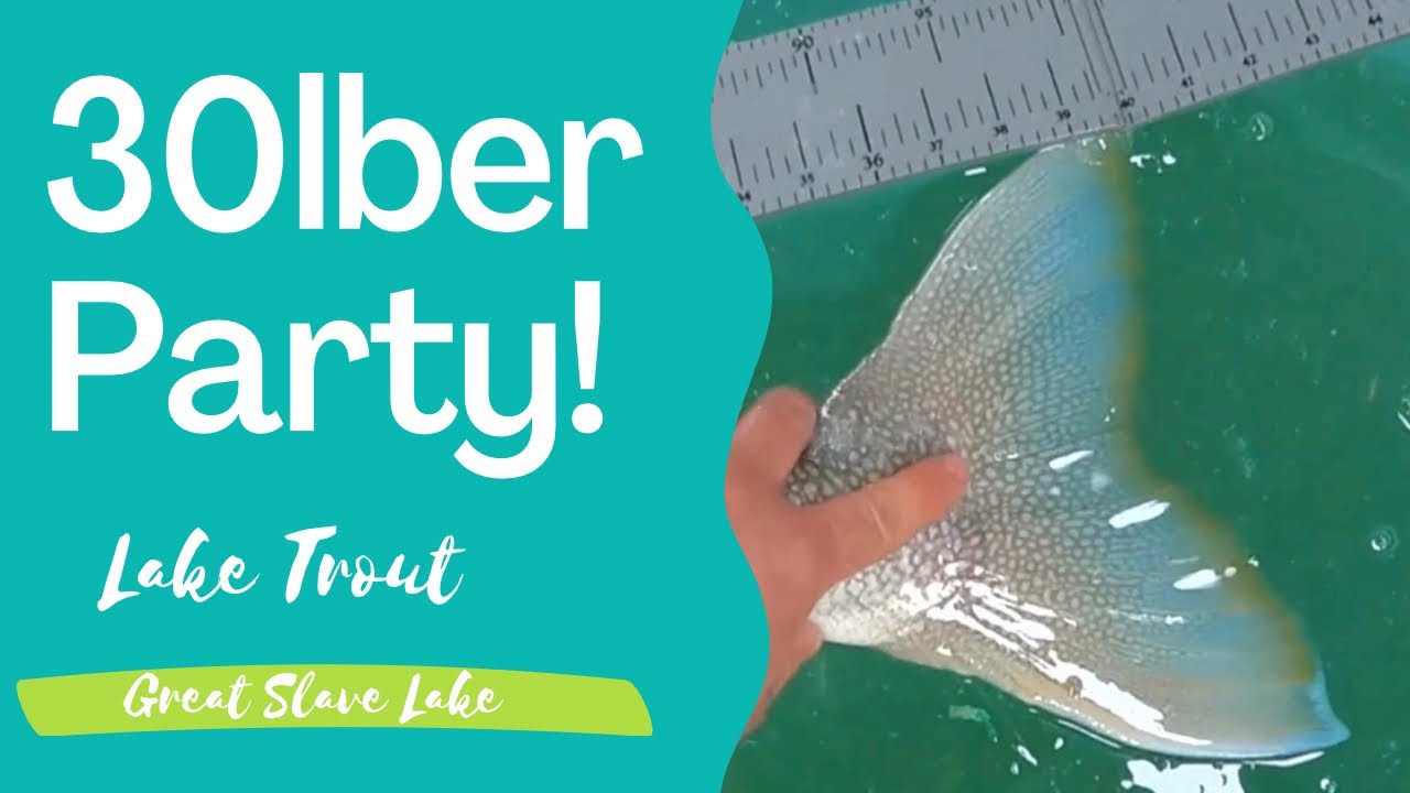 Giant Lake Trout - Ice Fishing Great Slave Lake - Personal Best Look ...