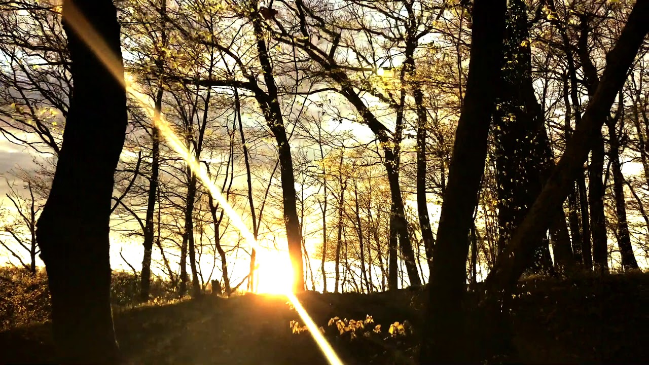 let us shine our light - YouTube