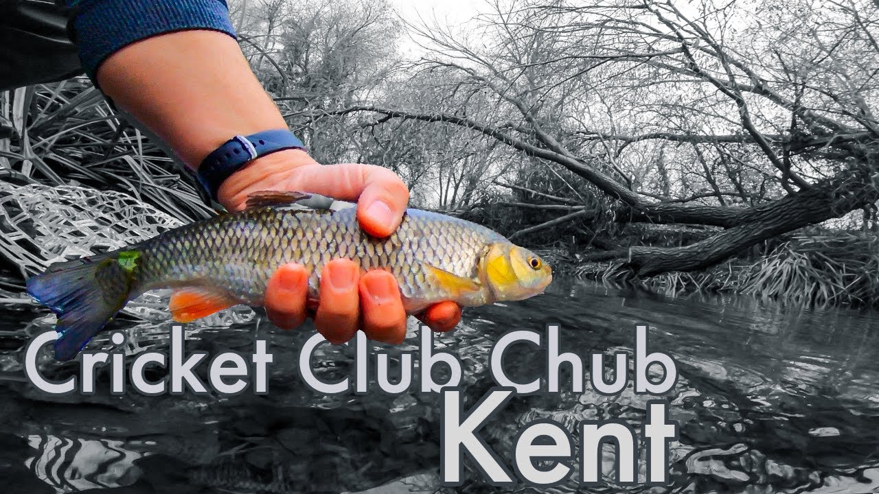 Fishing A Small Kent Brook The Traditional Crabtree Way For Chub. Stick ...