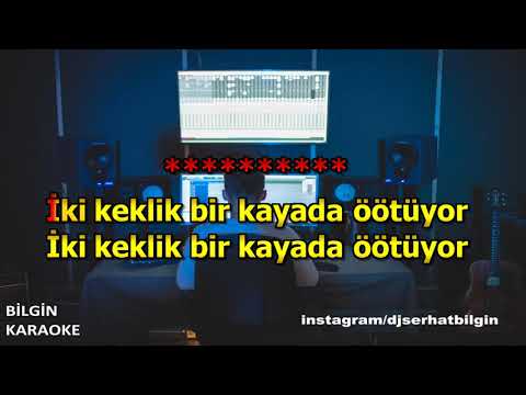 Orhan Hakalmaz - İki Keklik (Karaoke) Orjinal Stüdyo