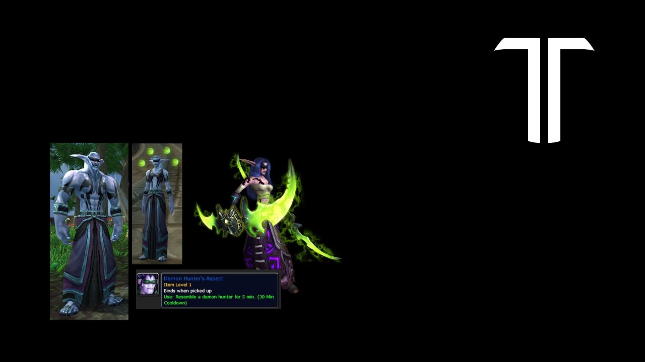 [ZT] Demon Hunter's Aspect - World of Warcraft - YouTube