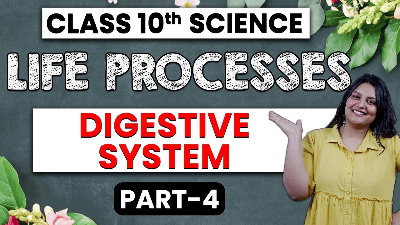CBSE Class 10 Science | Life Process | Digestive System | NCERT Chapter ...