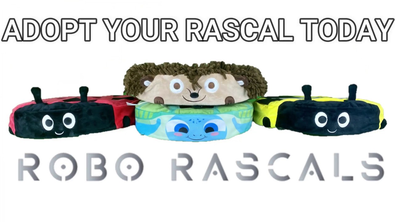 Meet the Robo Rascals (Decorative Roomba Covers) ! - YouTube