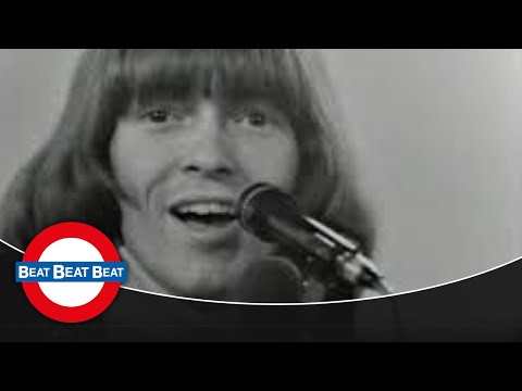 The Hep Stars (feat. Benny Andersson) - Wedding (1966)