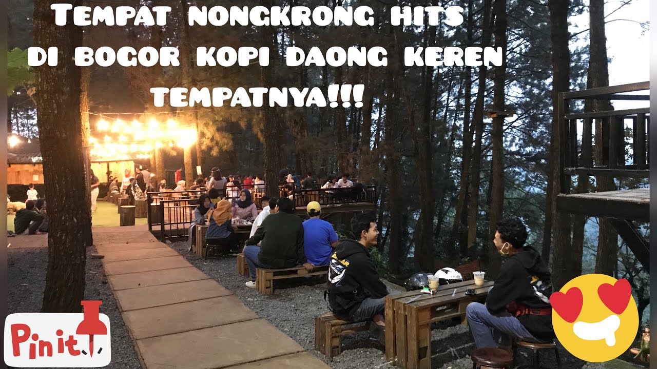 KOPI DAONG BOGOR, SEJUKNYA HUTAN PINUS DIBALIK SEGELAS KOPI - YouTube