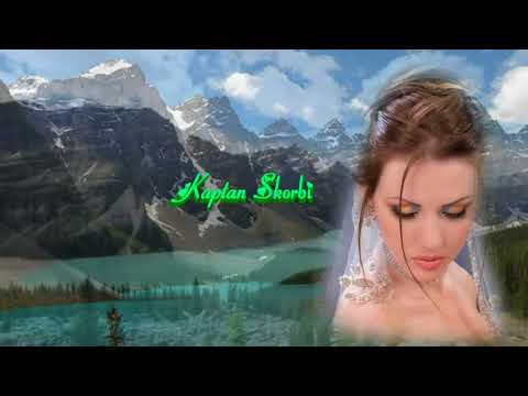 WWW.SESLİBULUS.COM  HARIKA BİR ŞİİR
