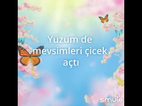 ah deli sevdam huzurrumdan
