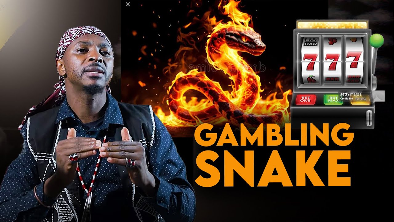 Gambling Snake | Dr. Hoti - YouTube