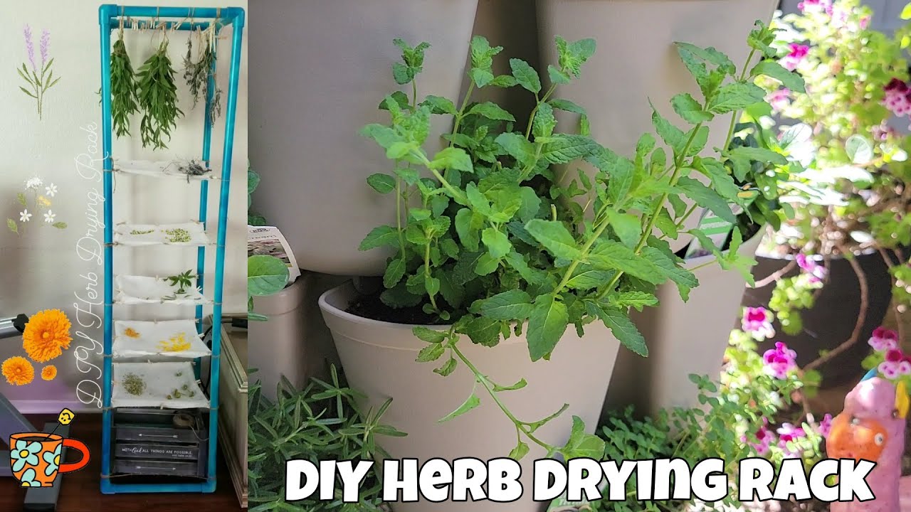 DIY HERB DRYING RACK | IT'S ALMOST HARVEST TIME - YouTube