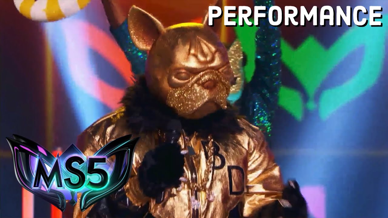 Bulldog sings “Candy Girl” by New Edition | THE MASKED SINGER | SEASON ...