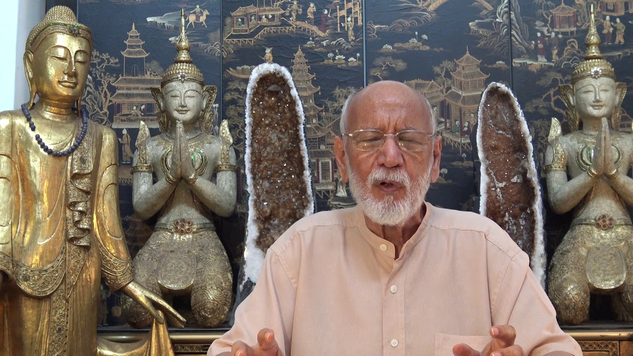 PIG - Lord Buddha's : The Animal In You October 2017 - YouTube