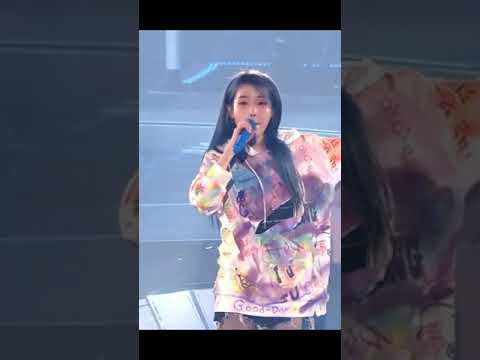 ACTORS AND IDOL WATCHING IU's CONCERT