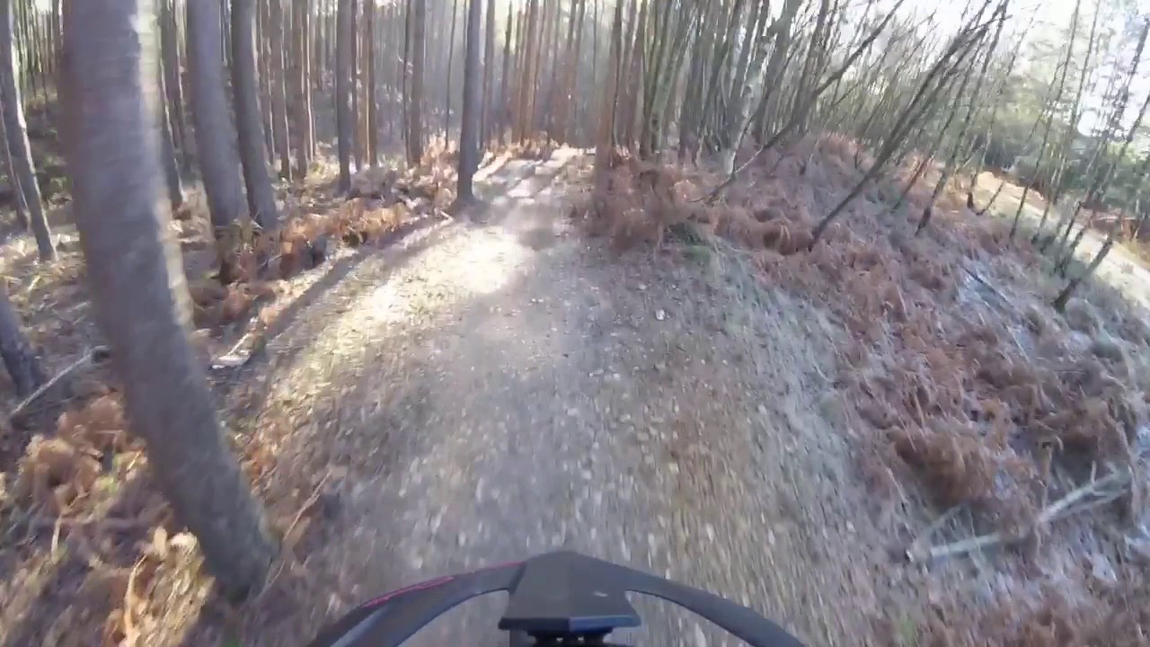 Red 15 at Swinley Forest - YouTube