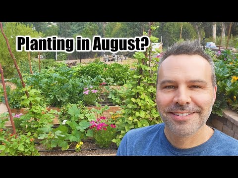 What Vegetables Can I Not Plant In My Climate