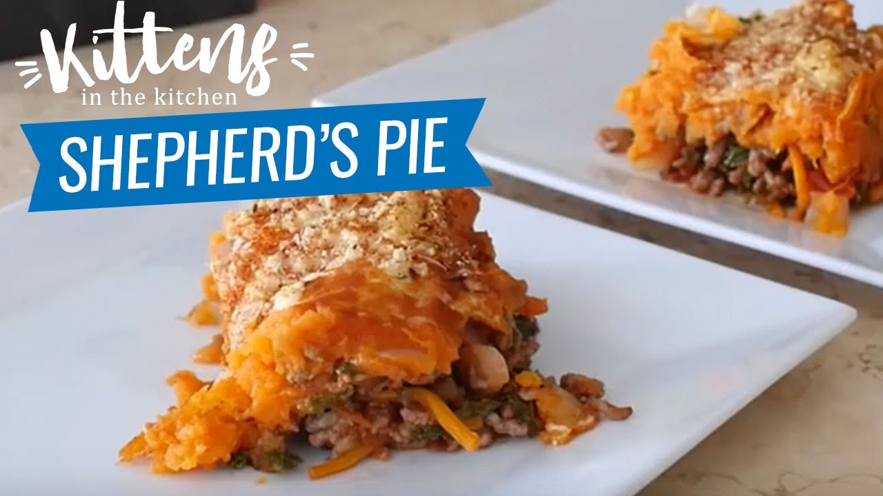 Ashys Healthy Shepherd's Pie Recipe | Kittens Kitchen - YouTube