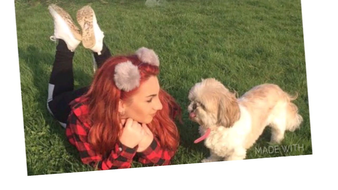 Better Together🐶 - YouTube