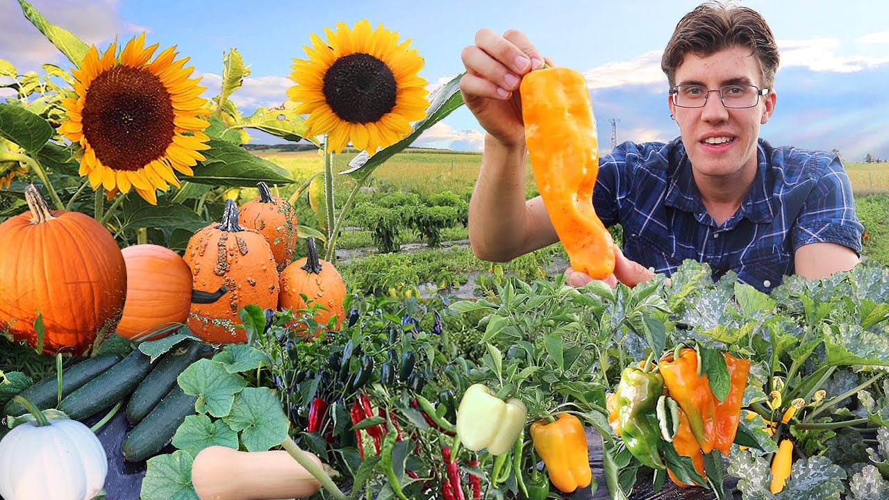 Garden Harvest Compilation 3 - YouTube