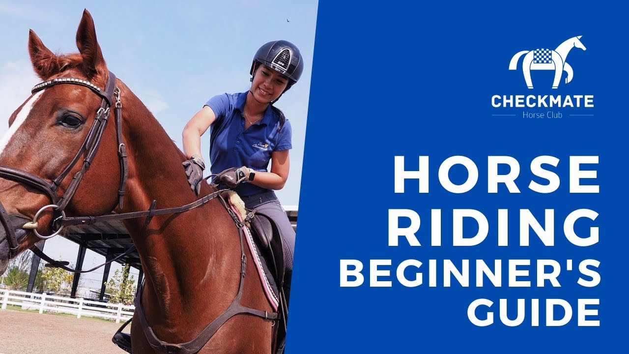 เรียนขี่ม้าครั้งแรกต้องเตรียมตัวยังไง? (Horse Riding Beginner's Guide ...