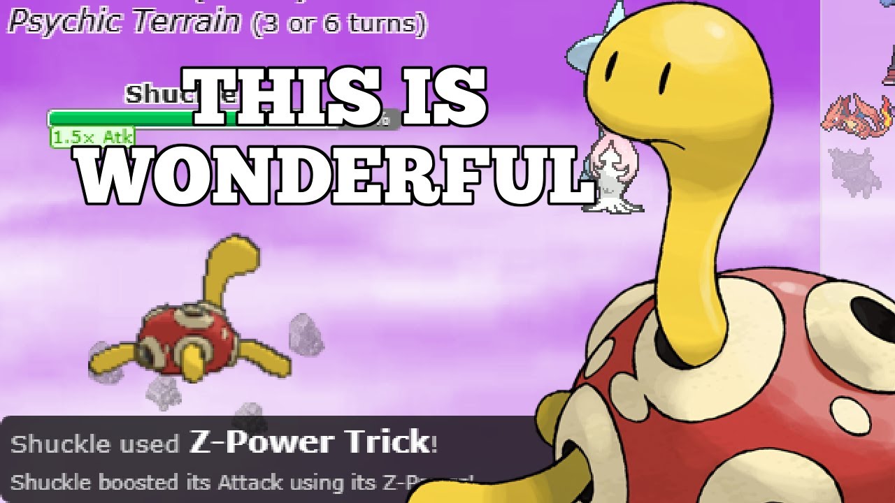 TURNING SHUCKLE INTO THE ULTIMATE SETUP SWEEPER WITH Z-POWER TRICK ...