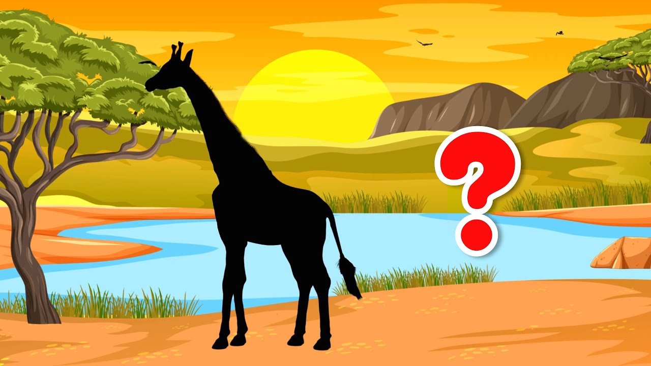 Guess The African Animals By Shadow: Giraffe Zebra Lion | Learn Animals ...