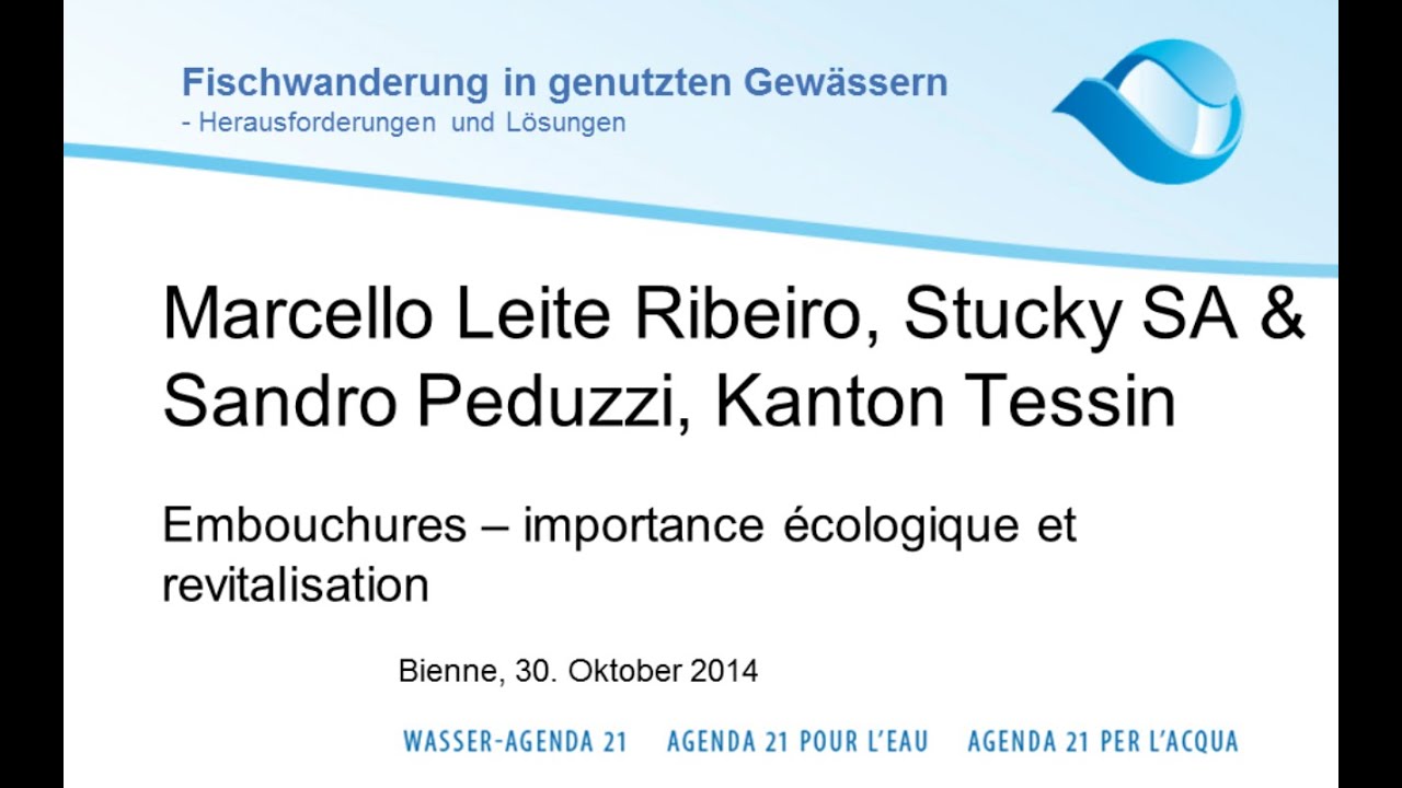 Marcello Leite Ribeiro et Sandro Peduzzi: Embouchures - YouTube