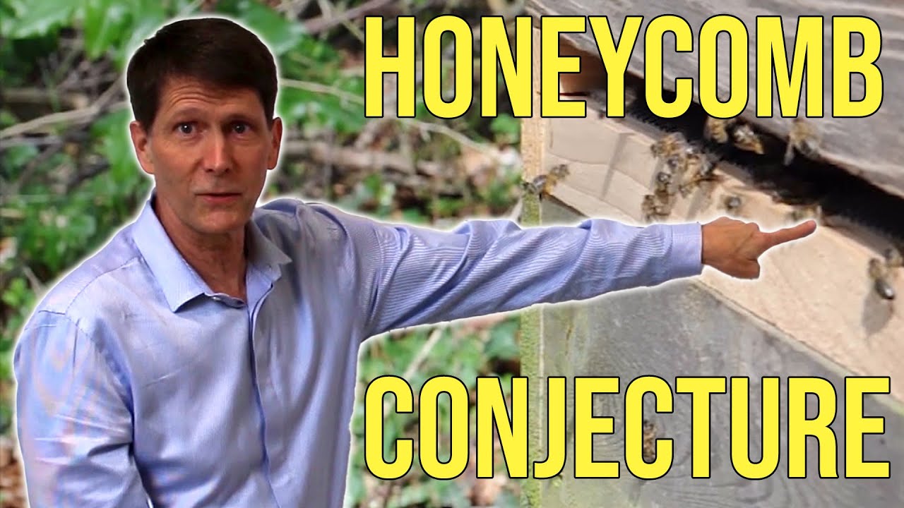 Why do Bees build Hexagons? Honeycomb Conjecture explained by Thomas ...
