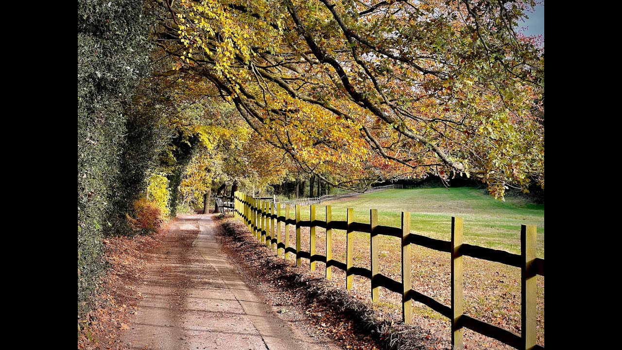 Autumn countryside walk around Westcott/ Wotton in the Surrey Hills ...