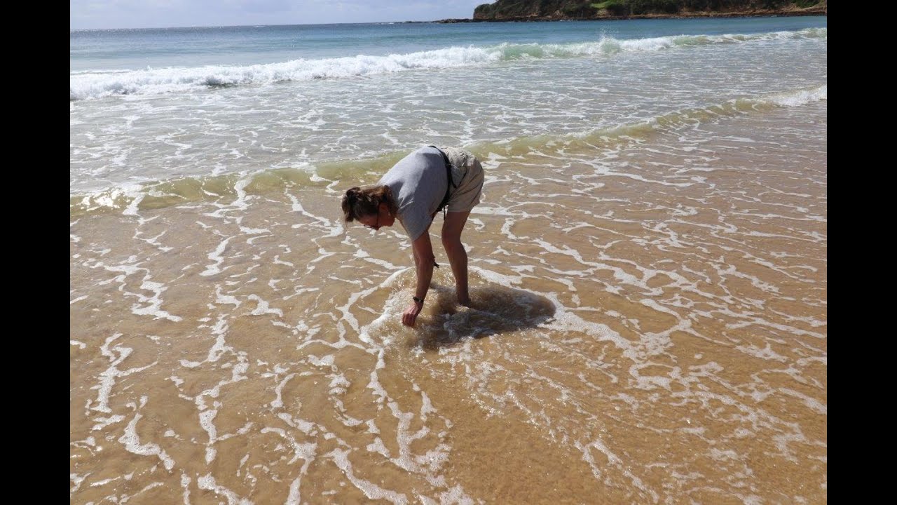 CATCHING BEACH WORMS WITH ALISON KUITER - YouTube