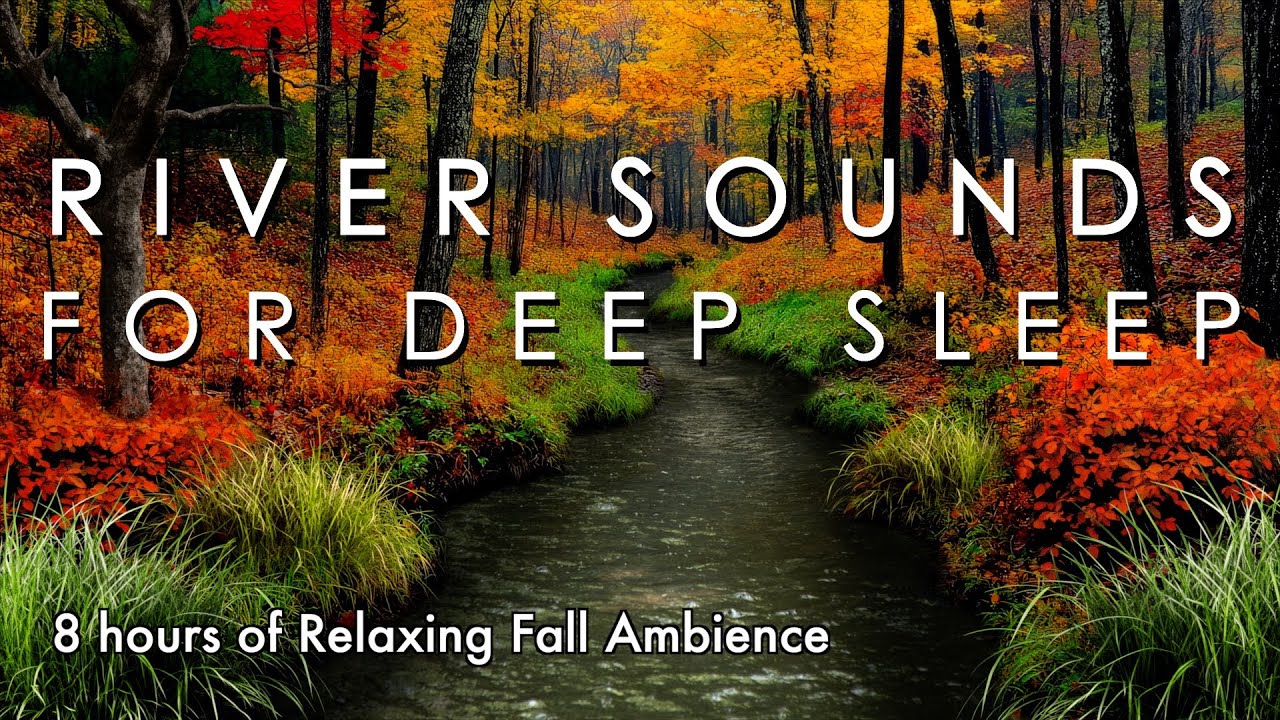 River Sounds for Deep Sleep 💤 8 hours of Relaxing Fall Ambience 🍁 - YouTube