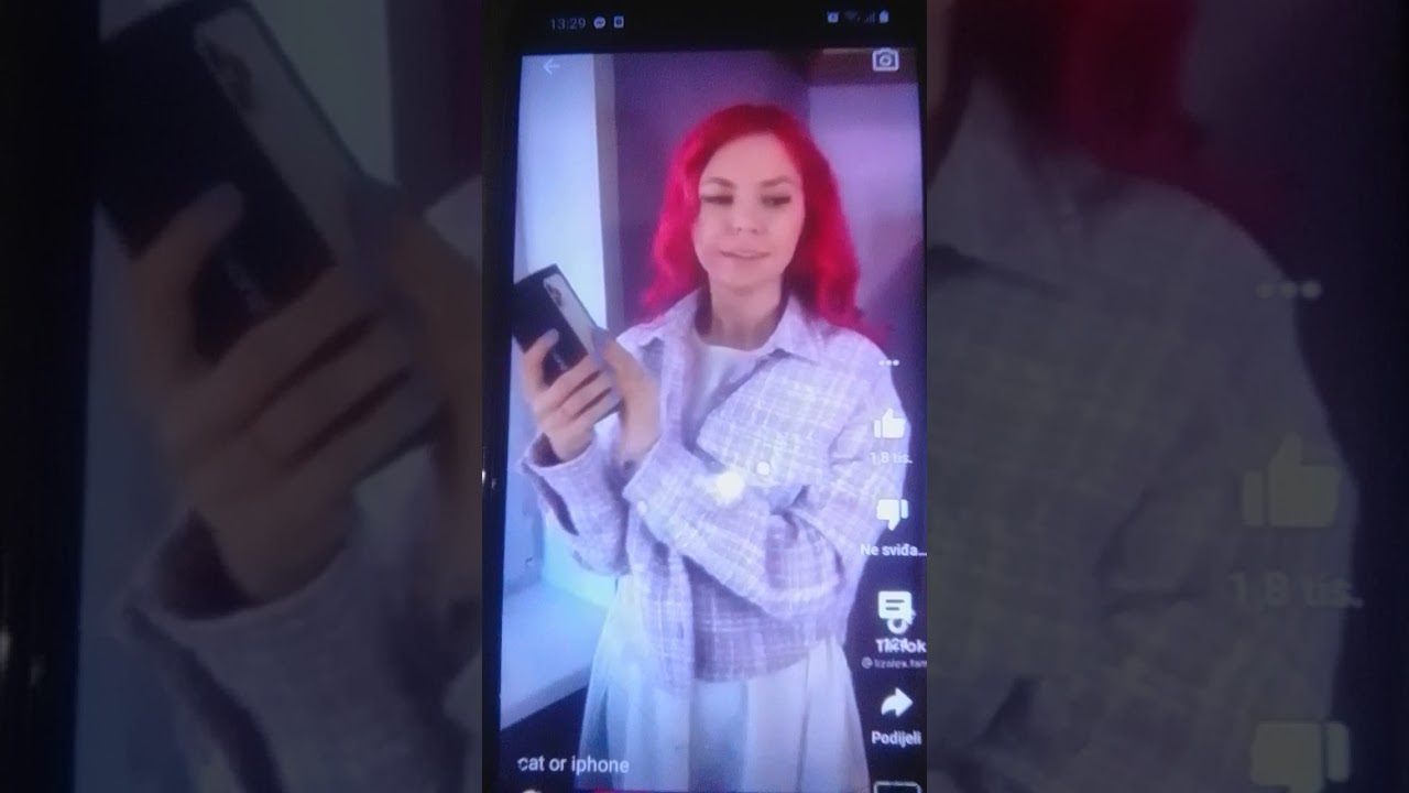 Cat or iPhone? 🥺 - YouTube
